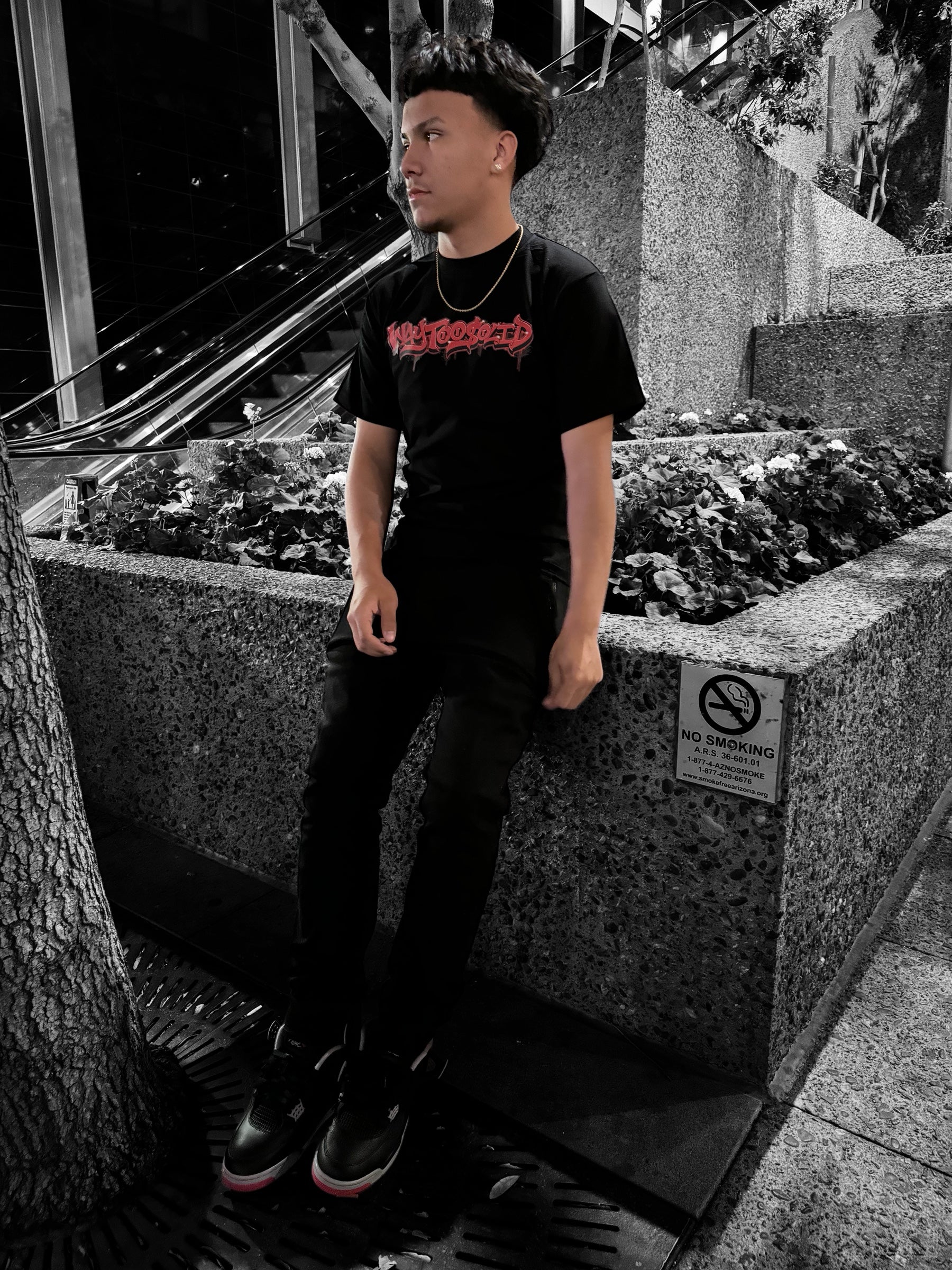 W2S “BANNER” MENS TEE – Waytoosolid